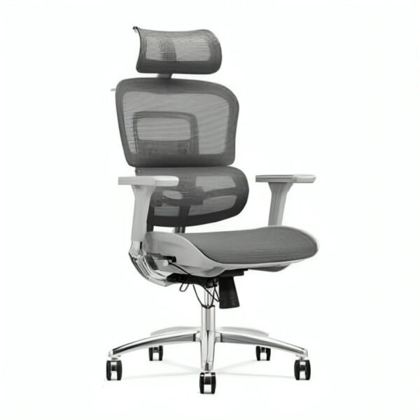 Ergohuman Robust Office Chair - Aadinath Furniture