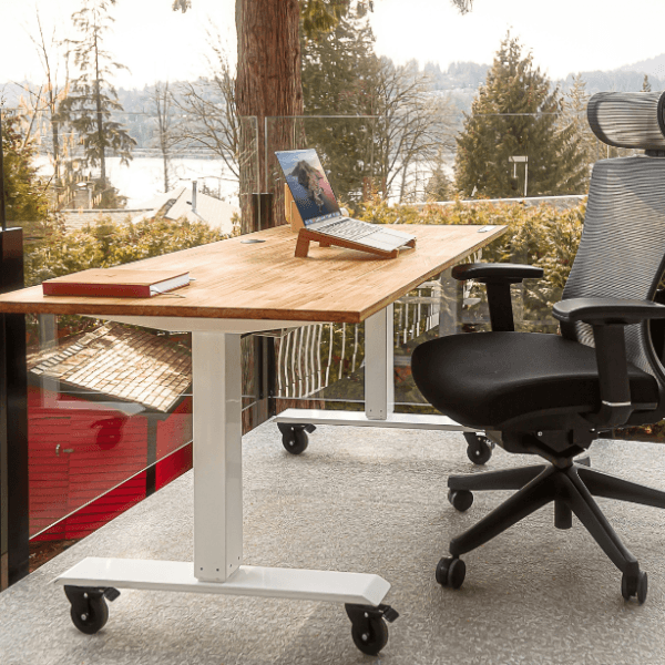 Best Shark Tank Chair With Affordable Price